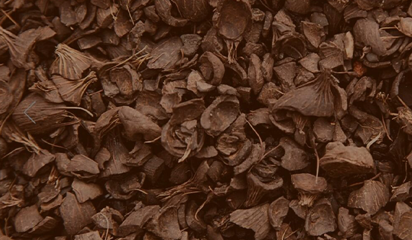 PKS (Palm Kernel Shell) - Big Bag - Euro Pellets